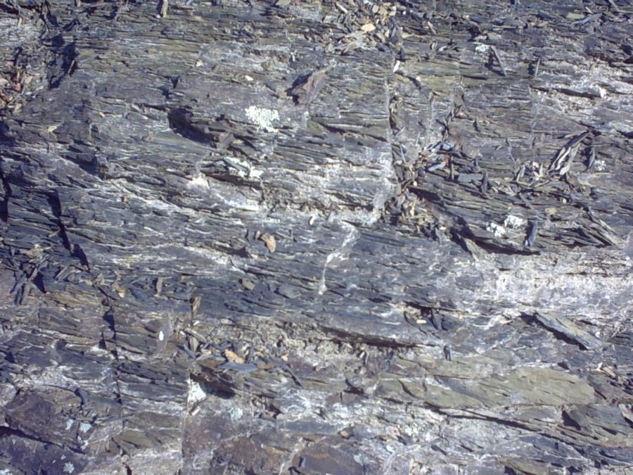 rock – Sheera Eby | Digital Transformation | Growth Marketing | Demand ...